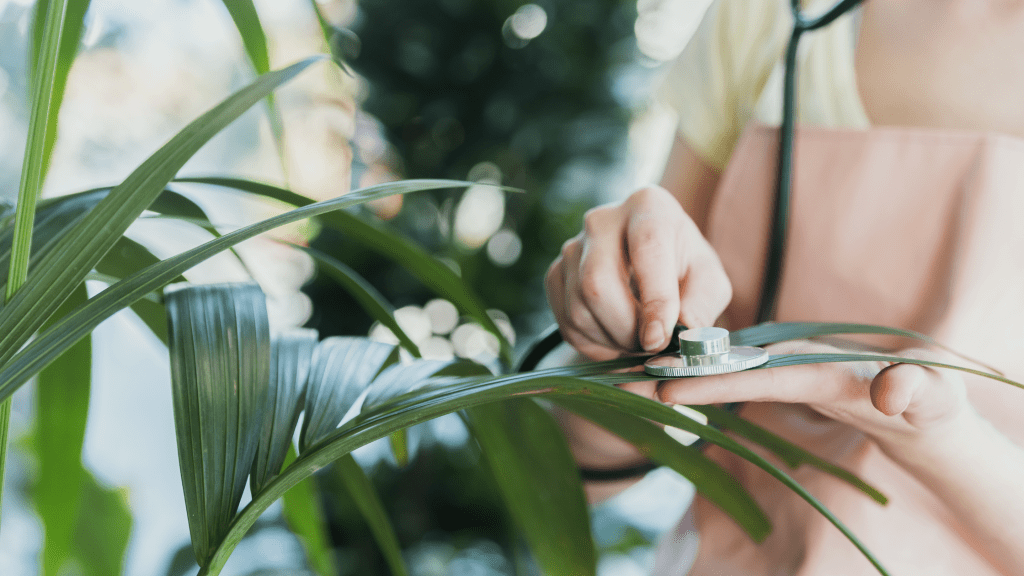 Todo lo que necesitas saber sobre Plant Doctor de Planteka – Planteka ...