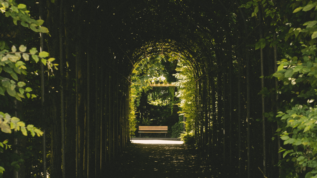 The history of houseplants: when people first brought green indoors ...